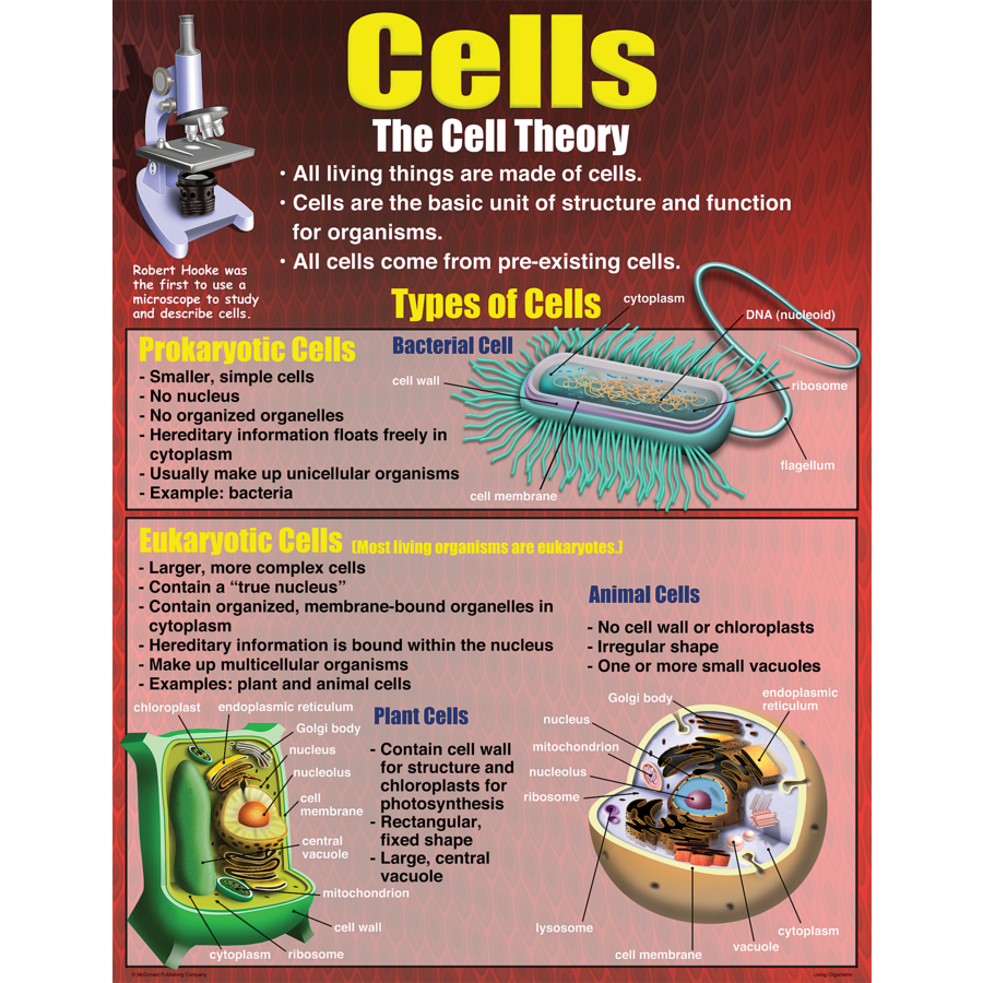 Living Organisms Poster Set - TCRP154 | Teacher Created Resources