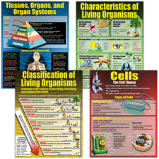 Life Science Poster Set - TCRP077 | Teacher Created Resources