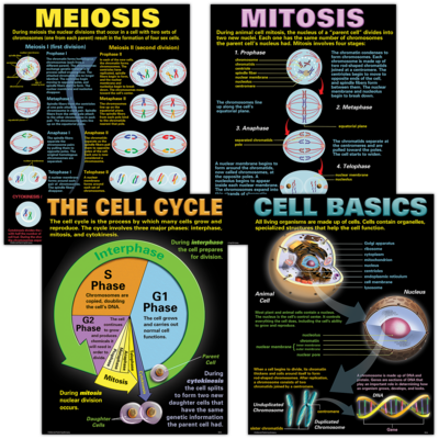 Cells Poster Set - TCRP127 | Teacher Created Resources
