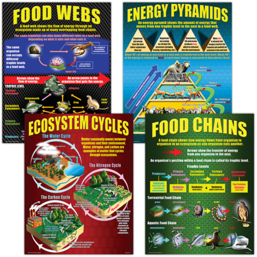 Ecosystems Poster Set - TCRP059 | Teacher Created Resources