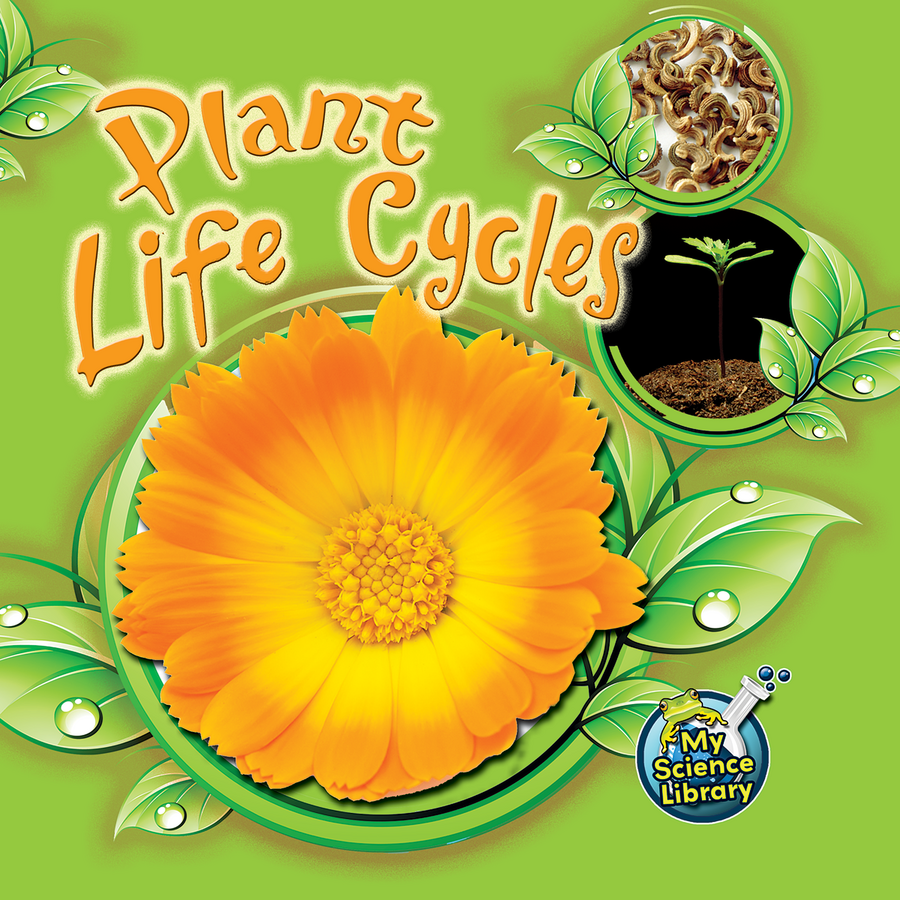 Plant Life Cycles TCR419362 Teacher Created Resources plant-life-cycles-tcr419362-teacher-created-resources