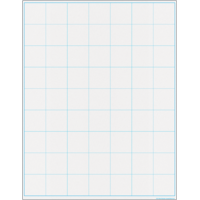 Graphing Grid Large Squares Write-On/Wipe-Off Chart - TCR7116 | Teacher ...