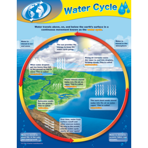Water Cycle Chart - TCR7743 | Teacher Created Resources