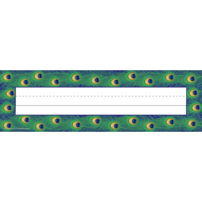 Peacock Name Plates (flat) - TCR5403 | Teacher Created Resources