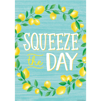 Squeeze the Day Positive Poster - TCR7955 | Teacher Created Resources