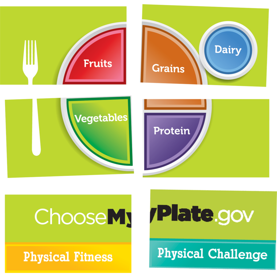 MyPlate Builder Game - TCR60272 | Teacher Created Resources