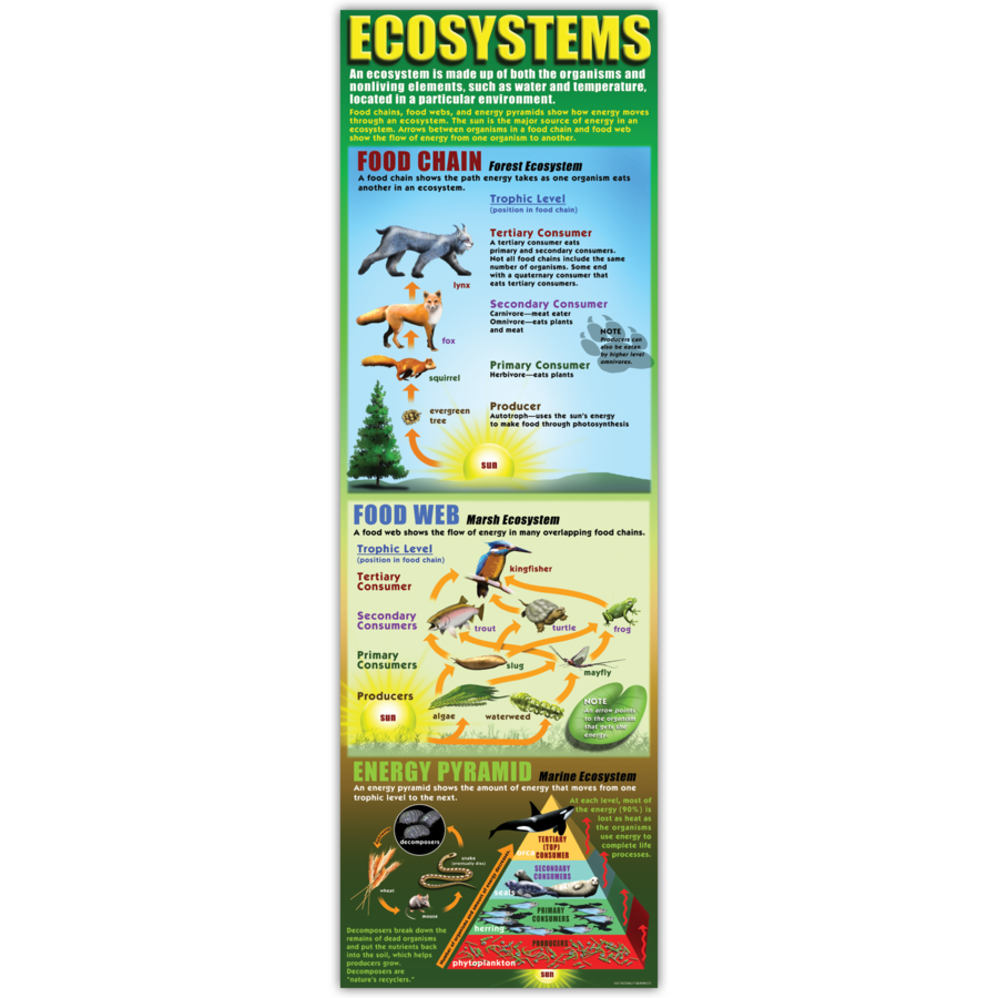 Ecosystems Colossal Poster - TCRV1701 | Teacher Created Resources