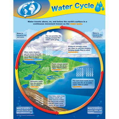 Water Cycle Chart - TCR7743 | Teacher Created Resources