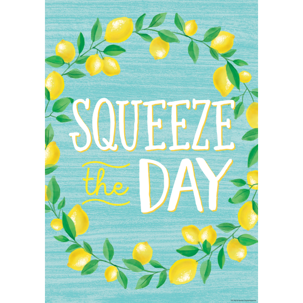 Squeeze the Day Positive Poster - TCR7955 | Teacher Created Resources