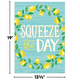 Squeeze the Day Positive Poster - TCR7955 | Teacher Created Resources