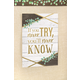If You Never Try, You'll Never Know Positive Poster - TCR7979 | Teacher ...