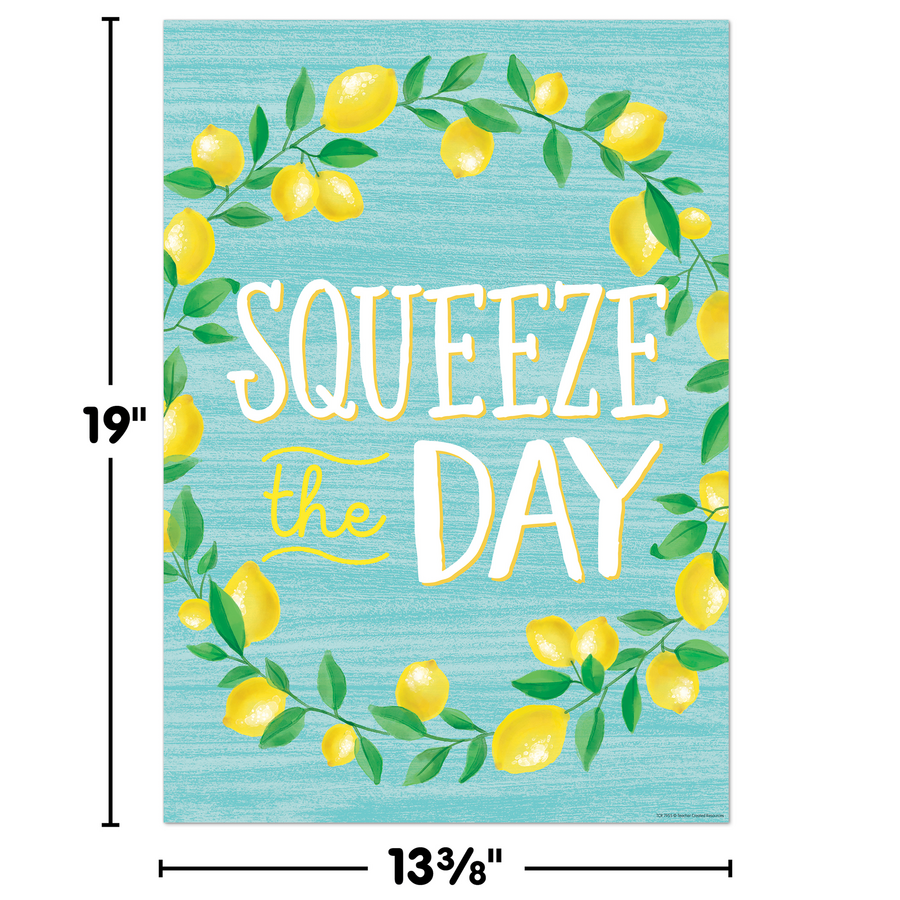 Squeeze the Day Positive Poster - TCR7955 | Teacher Created Resources