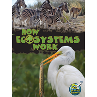 How Ecosystems Work - TCR102201 | Teacher Created Resources