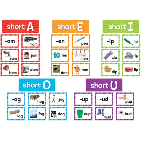 Short Vowels Pocket Chart Cards - TCR20850 | Teacher Created Resources