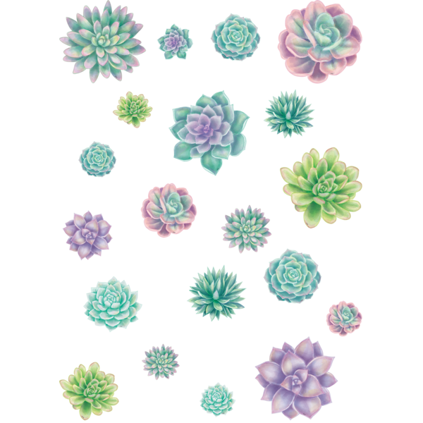 Rustic Bloom Succulent Accents - Assorted Sizes - TCR8590 | Teacher ...