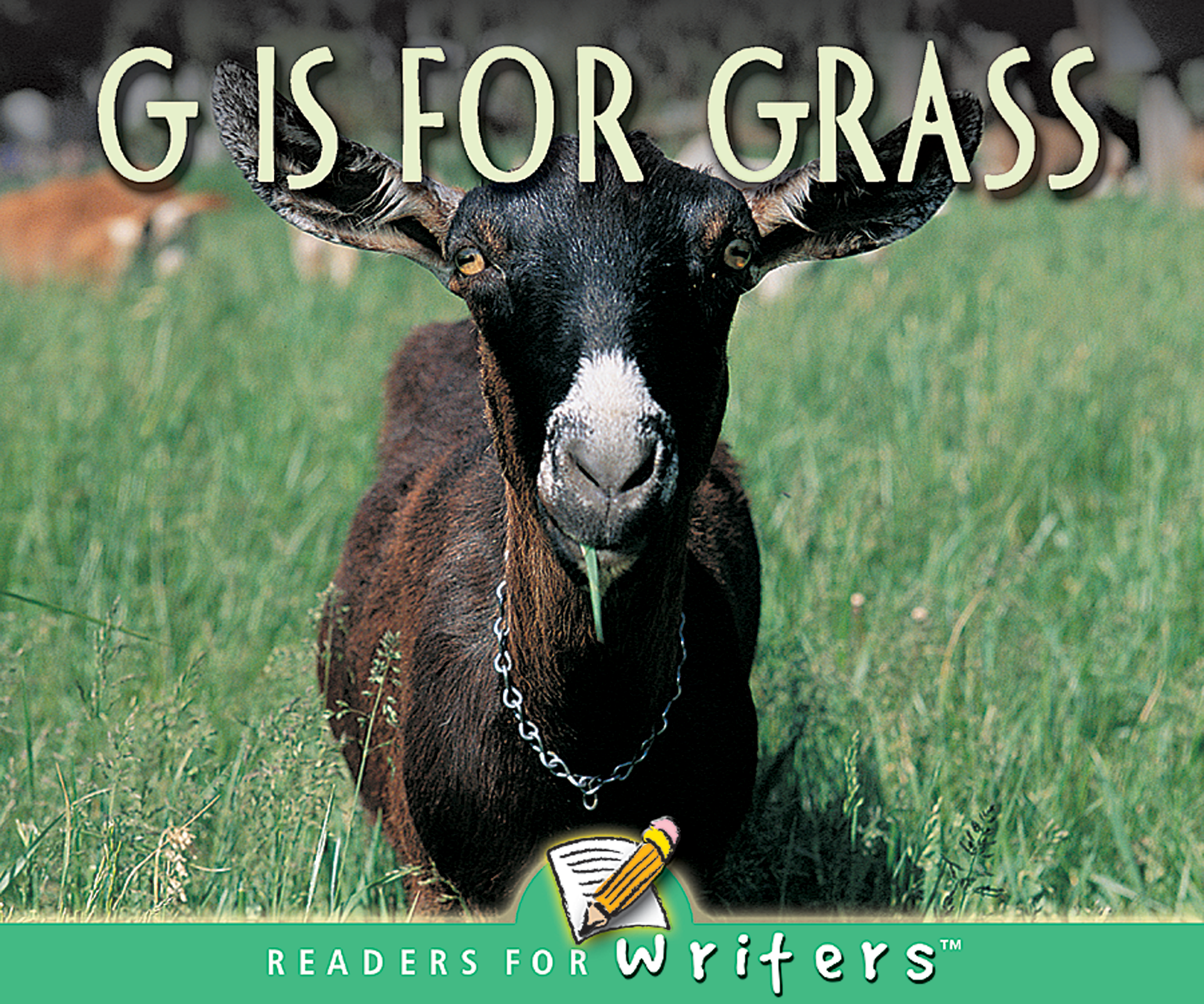 G is For Grass - TCR152428 | Teacher Created Resources