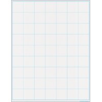 Graphing Grid Large Squares Write-On/Wipe-Off Chart - TCR7116 | Teacher ...