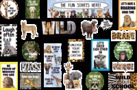 Go Wild Animals Mini Bulletin Board - TCR6852 | Teacher Created Resources