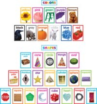 Colorful Photo Shapes & Colors Cards Bulletin Board - TCR8799 | Teacher ...