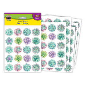 Rustic Bloom Succulents Stickers - TCR8554 | Teacher Created Resources
