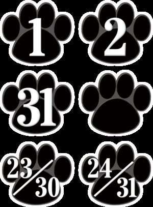 Black Paw Prints Calendar Days - TCR5232 | Teacher Created Resources