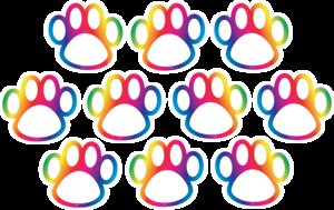Rainbow Paw Prints Accents - TCR5391 | Teacher Created Resources