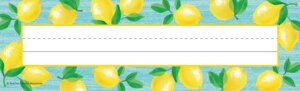 Lemon Zest Flat Name Plates - TCR8482 | Teacher Created Resources