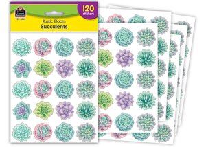 Rustic Bloom Succulents Stickers - TCR8554 | Teacher Created Resources