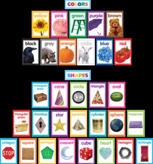 Colorful Photo Shapes & Colors Cards Bulletin Board - TCR8799 | Teacher ...