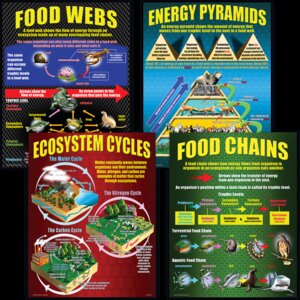 Ecosystems Poster Set - TCRP059 | Teacher Created Resources