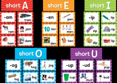 Short Vowels Pocket Chart Cards - TCR20850 | Teacher Created Resources