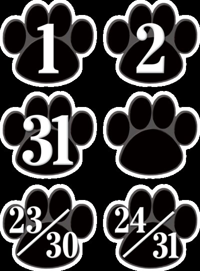 Black Paw Prints Calendar Days - TCR5232 | Teacher Created Resources