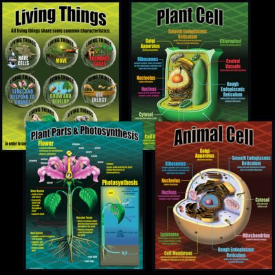 Life Science Poster Set - TCRP077 | Teacher Created Resources