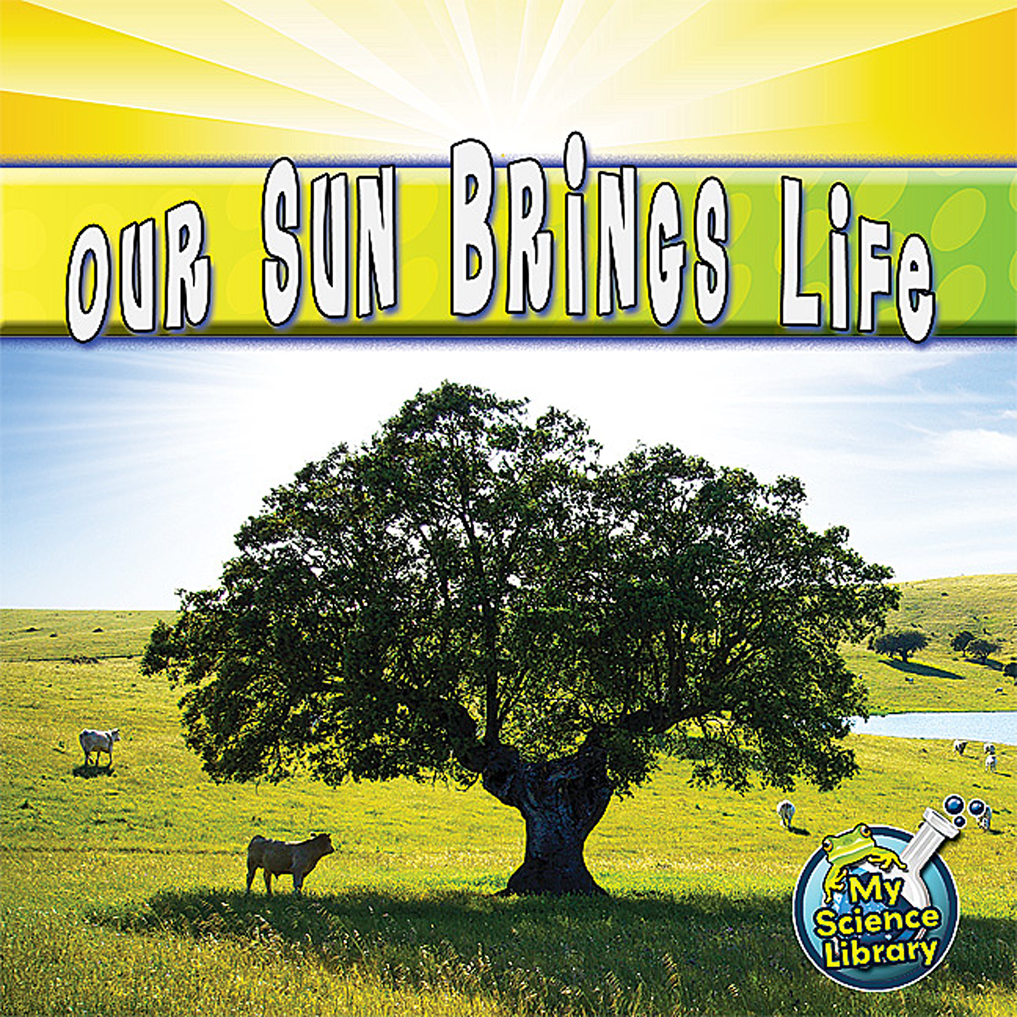 Our Sun Brings Life - TCR419256 | Teacher Created Resources