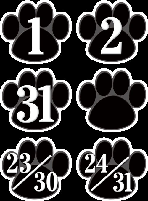 Black Paw Prints Calendar Days - TCR5232 | Teacher Created Resources