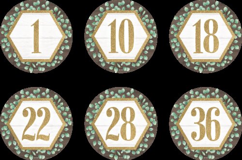 Spot On Floor Markers Eucalyptus Numbers 1-36 - 4" - TCR77532 | Teacher ...