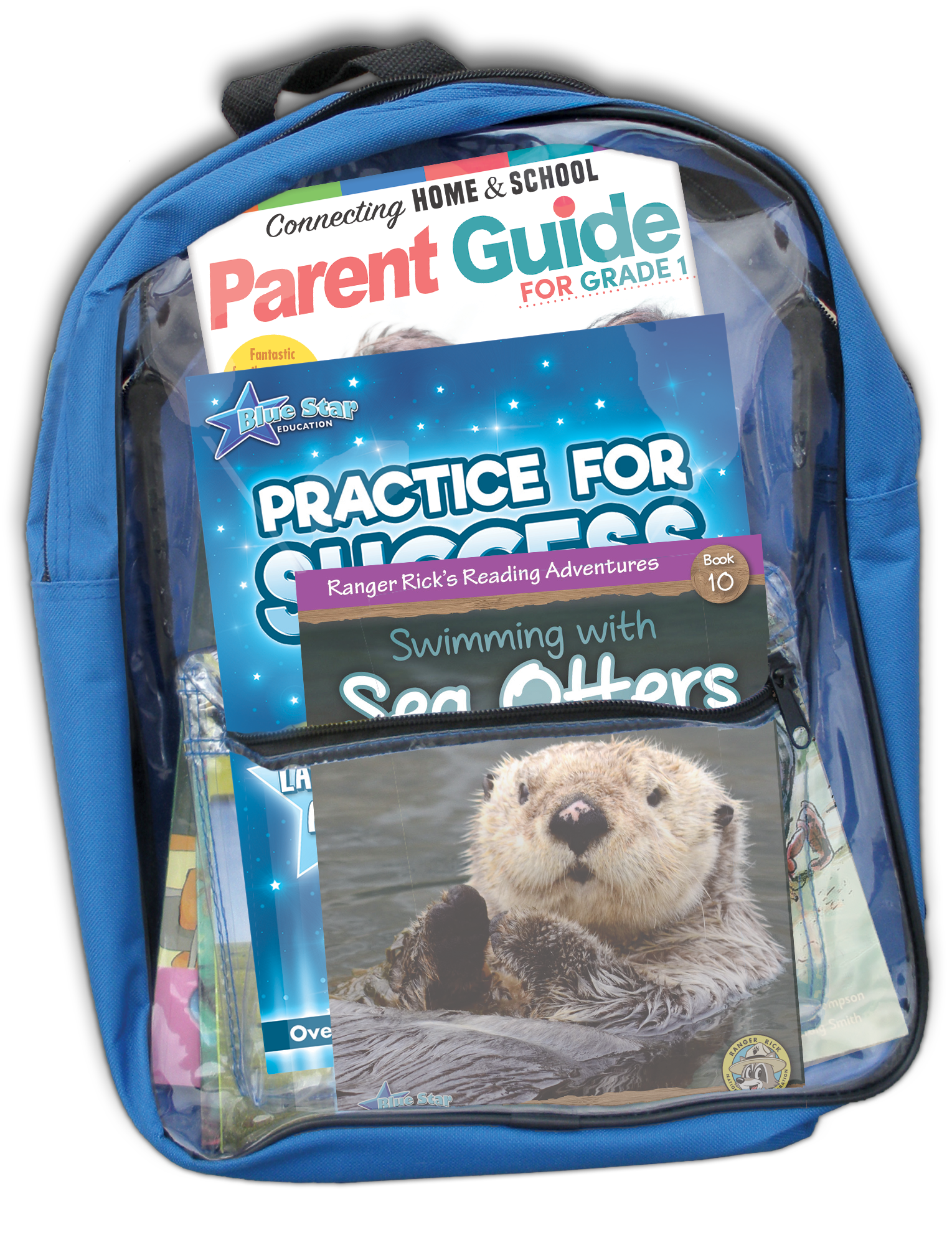 Practice for Success Level B Backpack (Grade 1) - TCR53444 | Teacher ...