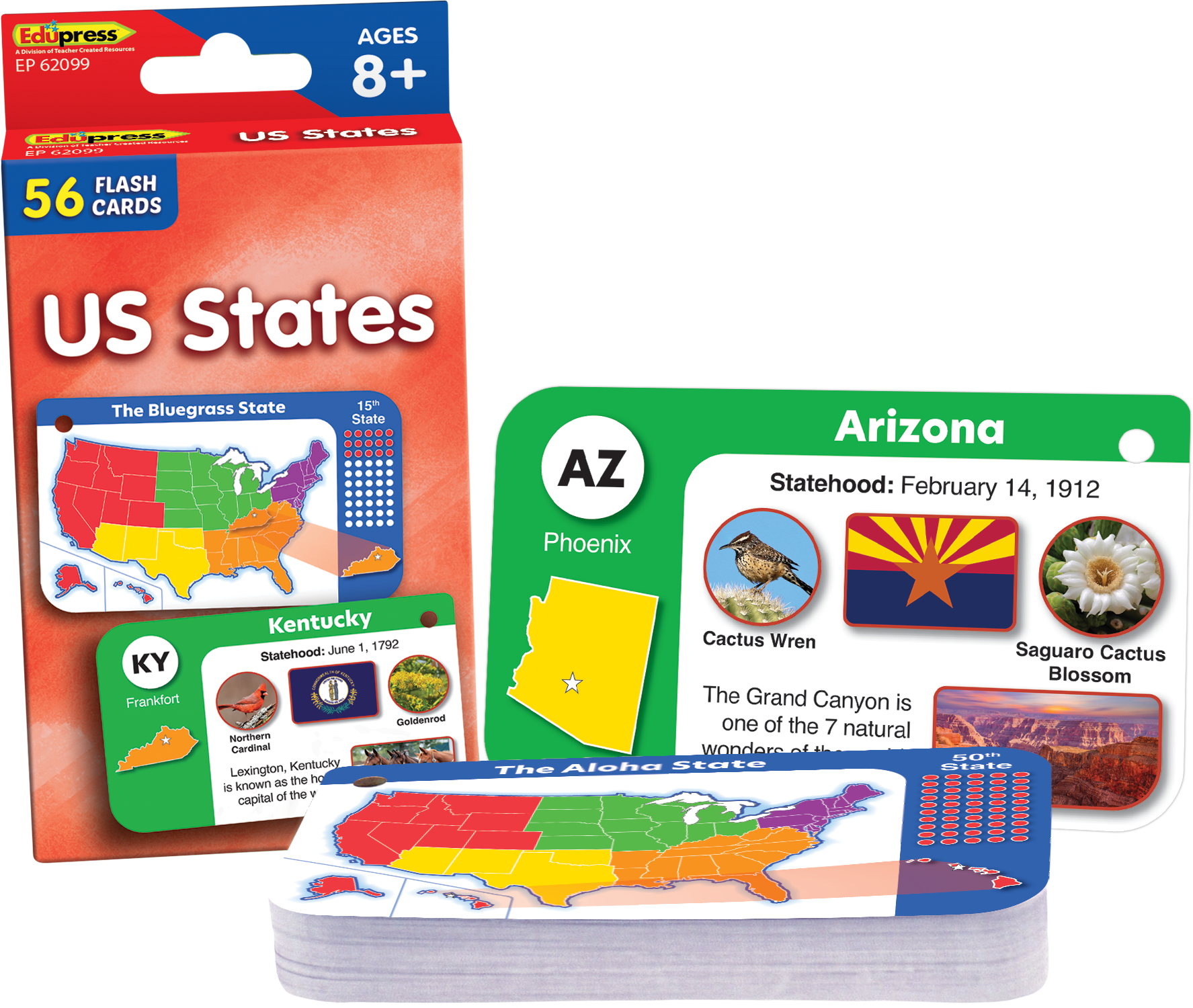 US States Flash Cards - TCR62099 | Teacher Created Resources