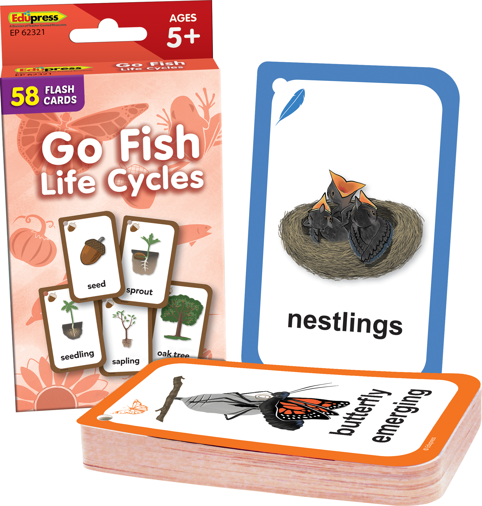 Go Fish: Life Cycles Flash Cards - TCR62321 | Teacher Created Resources