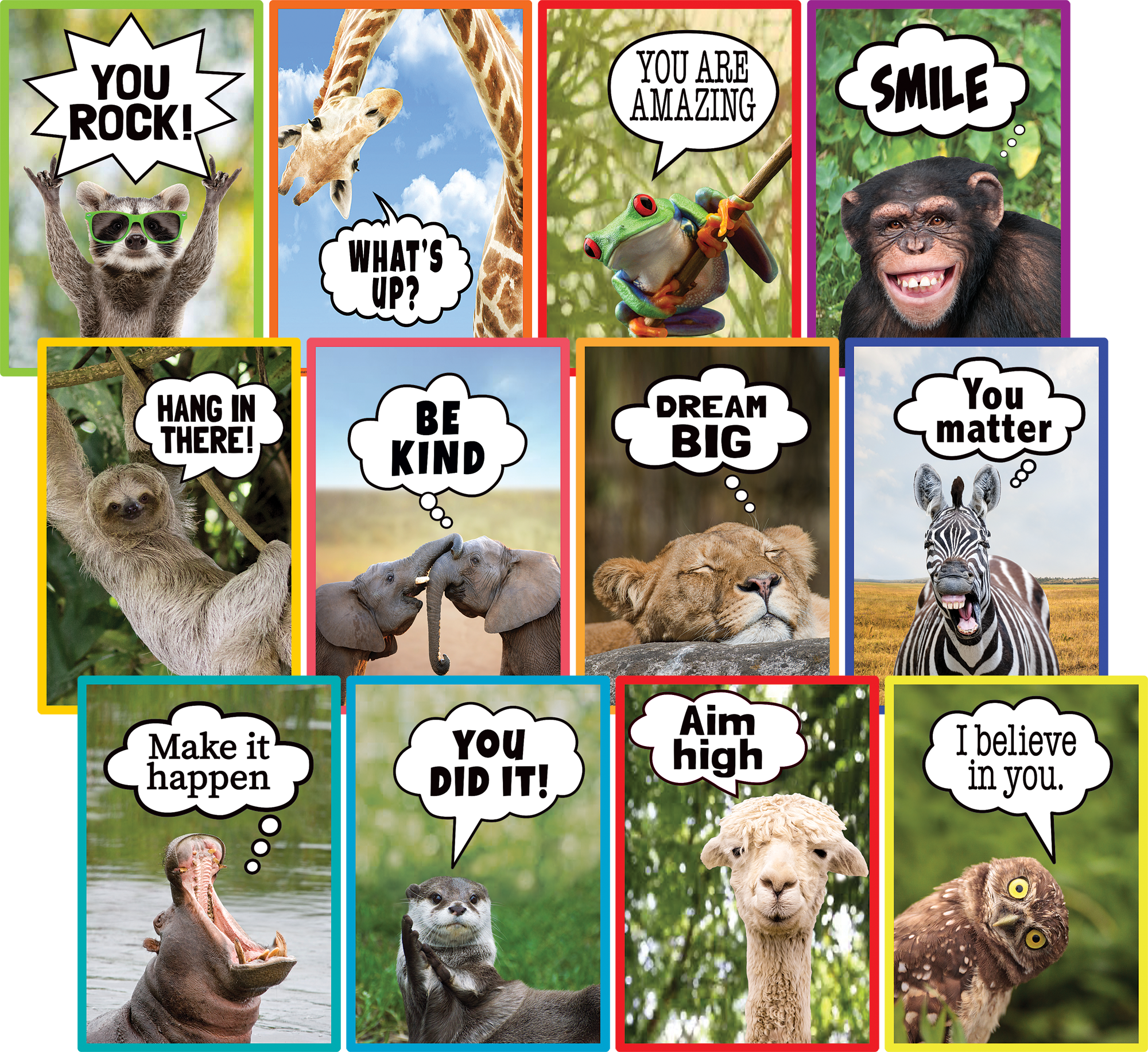 Go Wild Animals Small Poster Pack - TCR6824 | Teacher Created Resources