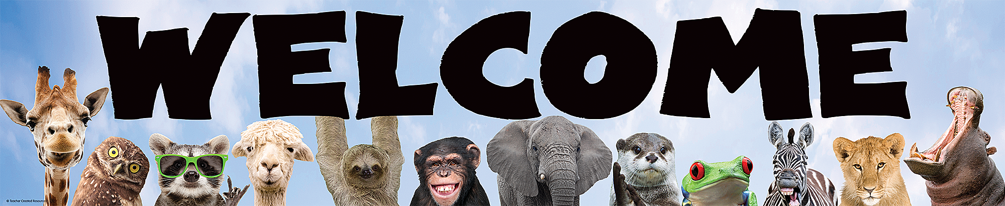 Go Wild Animals Welcome Banner - TCR6836 | Teacher Created Resources