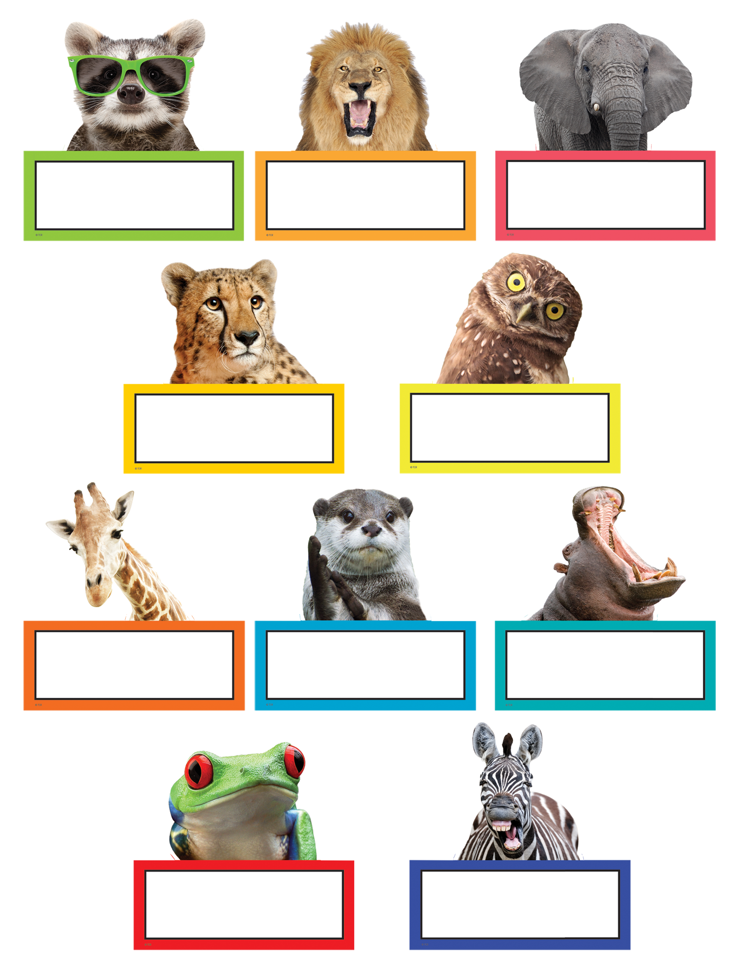 Go Wild Animals Accents - TCR6854 | Teacher Created Resources