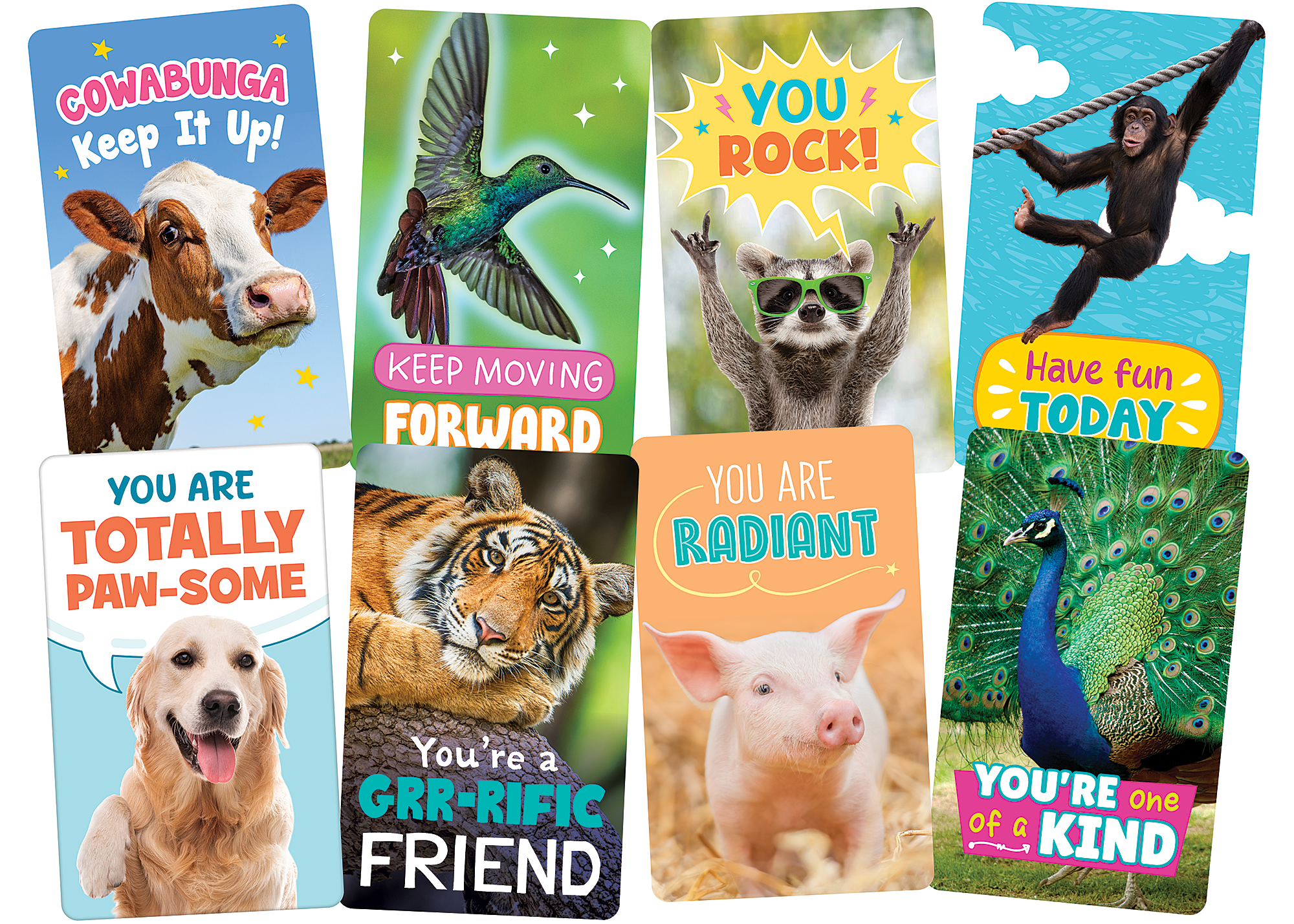 Go Wild Animals Encouragement Cards - TCR6856 | Teacher Created Resources