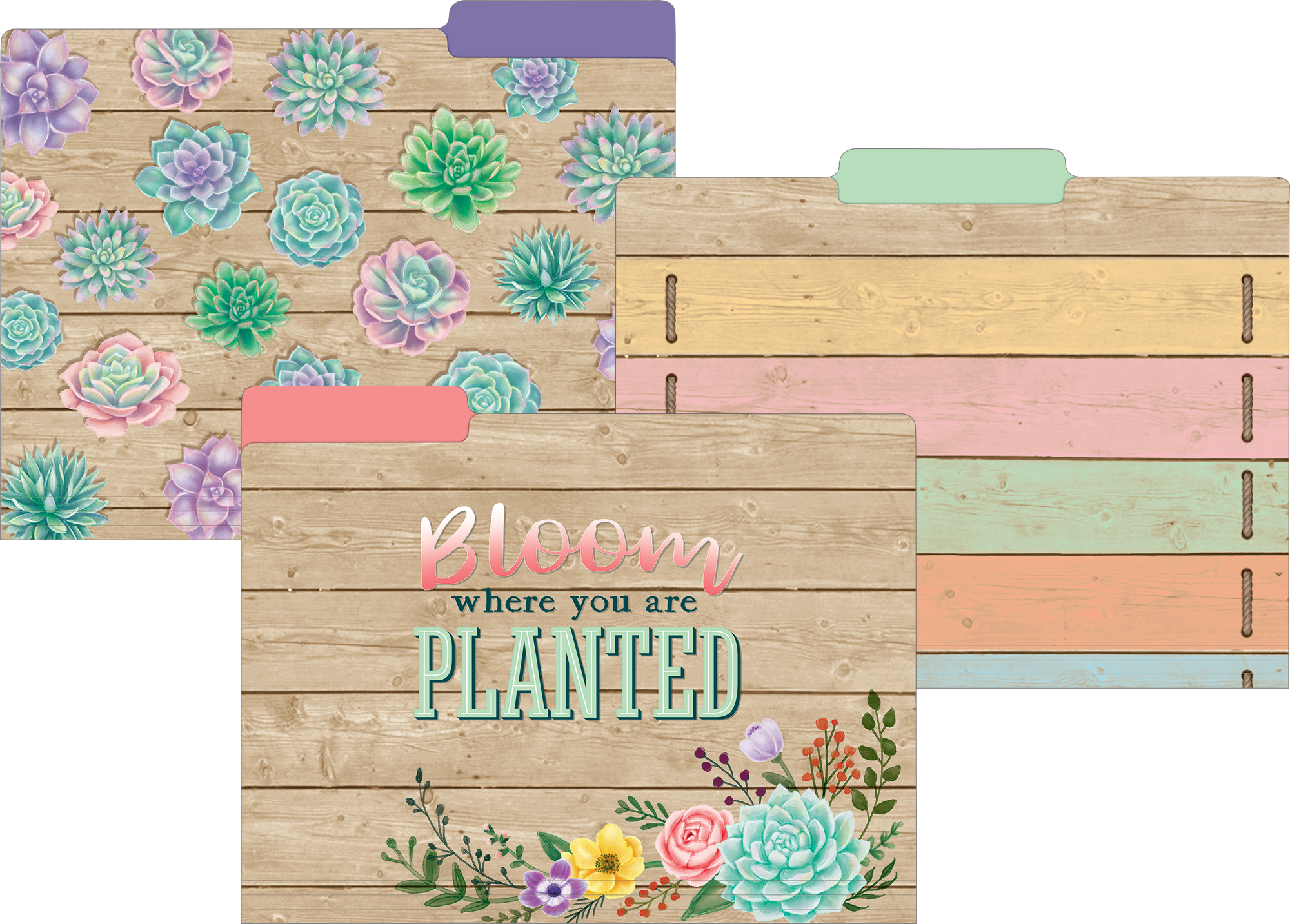 Rustic Bloom File Folders - TCR8539 | Teacher Created Resources Rustic Bloom File Folders - TCR8539 | Teacher Created Resources