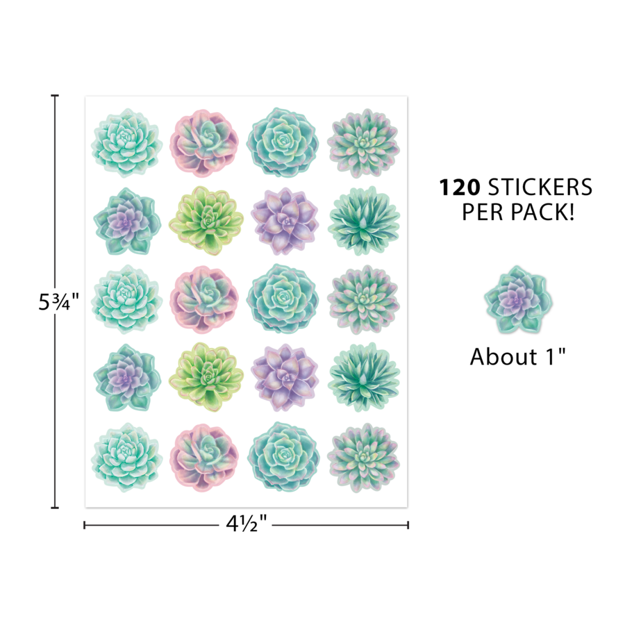 Rustic Bloom Succulents Stickers - TCR8554 | Teacher Created Resources